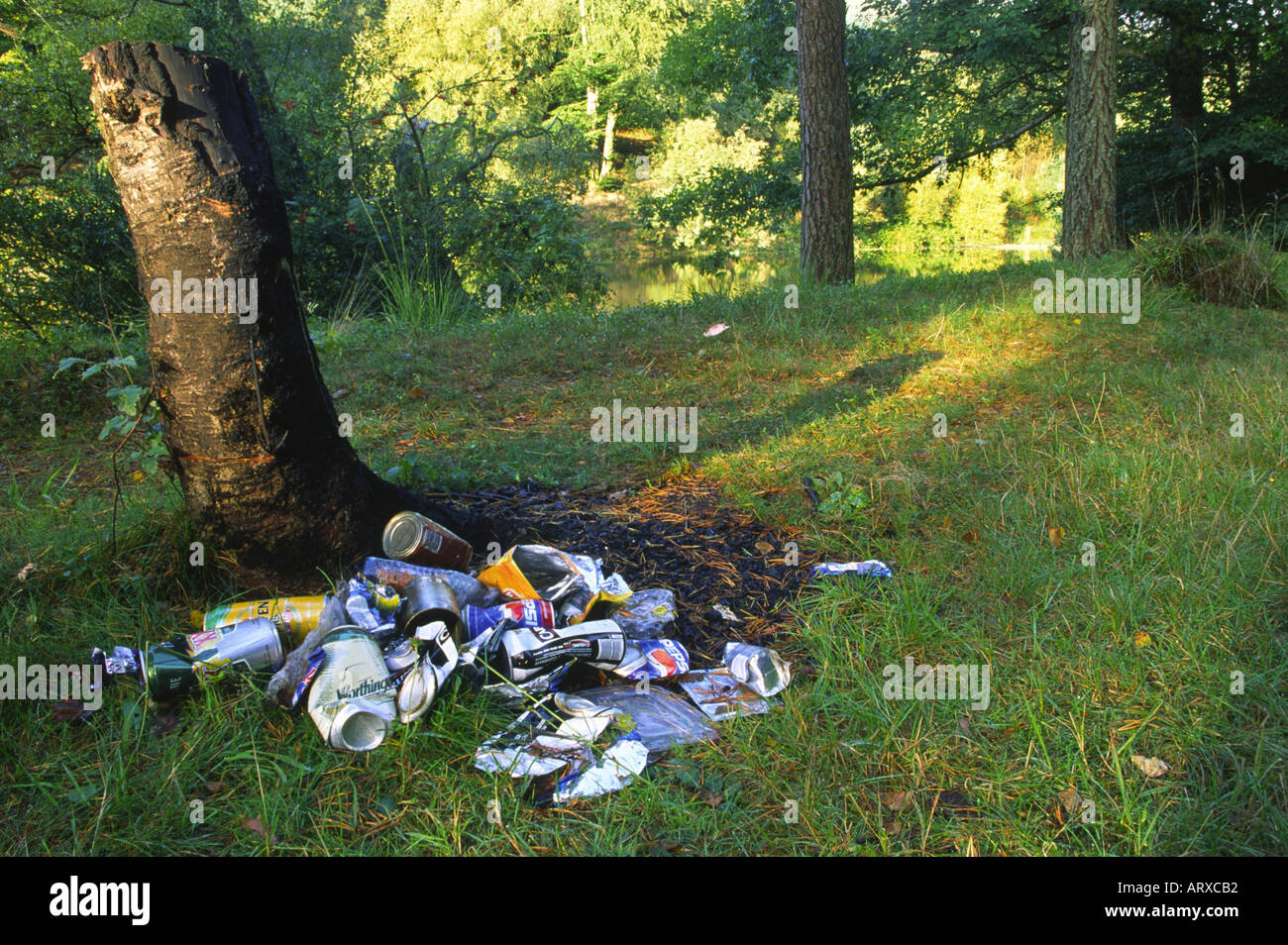 Litter Rubbish conservation enviroment landscape Stock Photo - Alamy