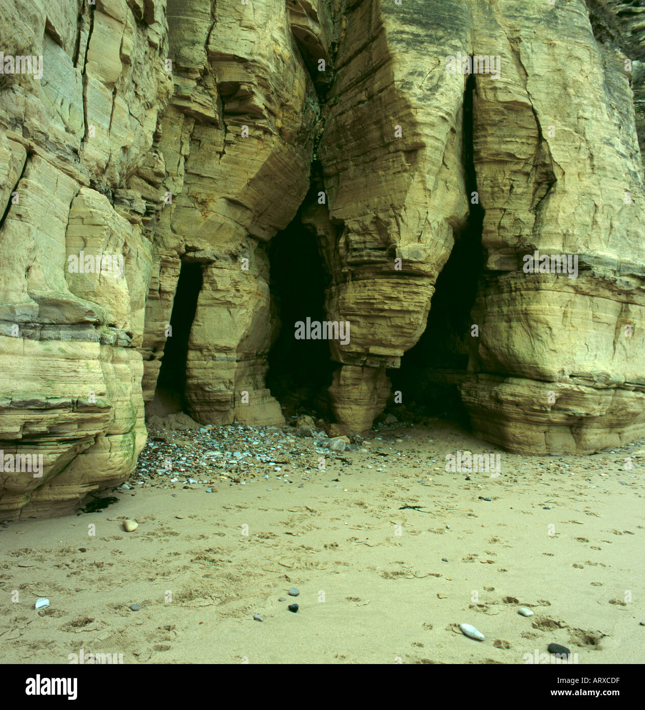 Dissolved limestone layer hi-res stock photography and images - Alamy
