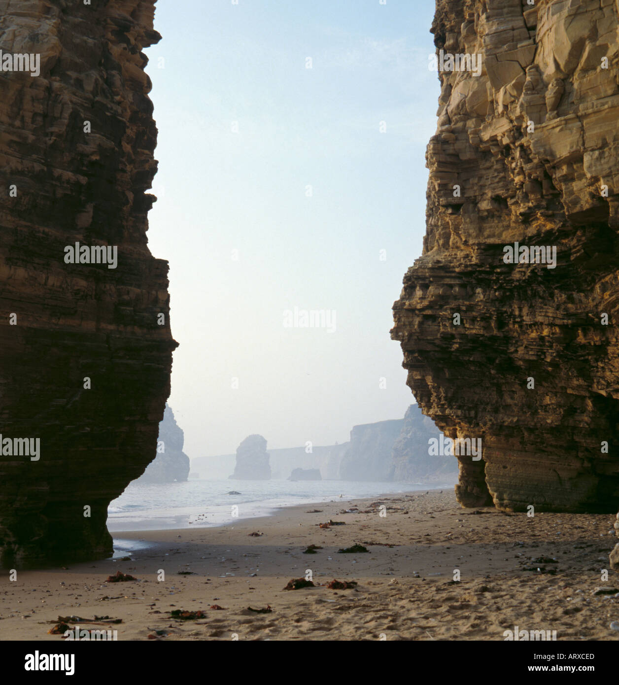 Sea Stacks; Marsden Bay, near South Shields, Tyne and Wear, England, UK ...