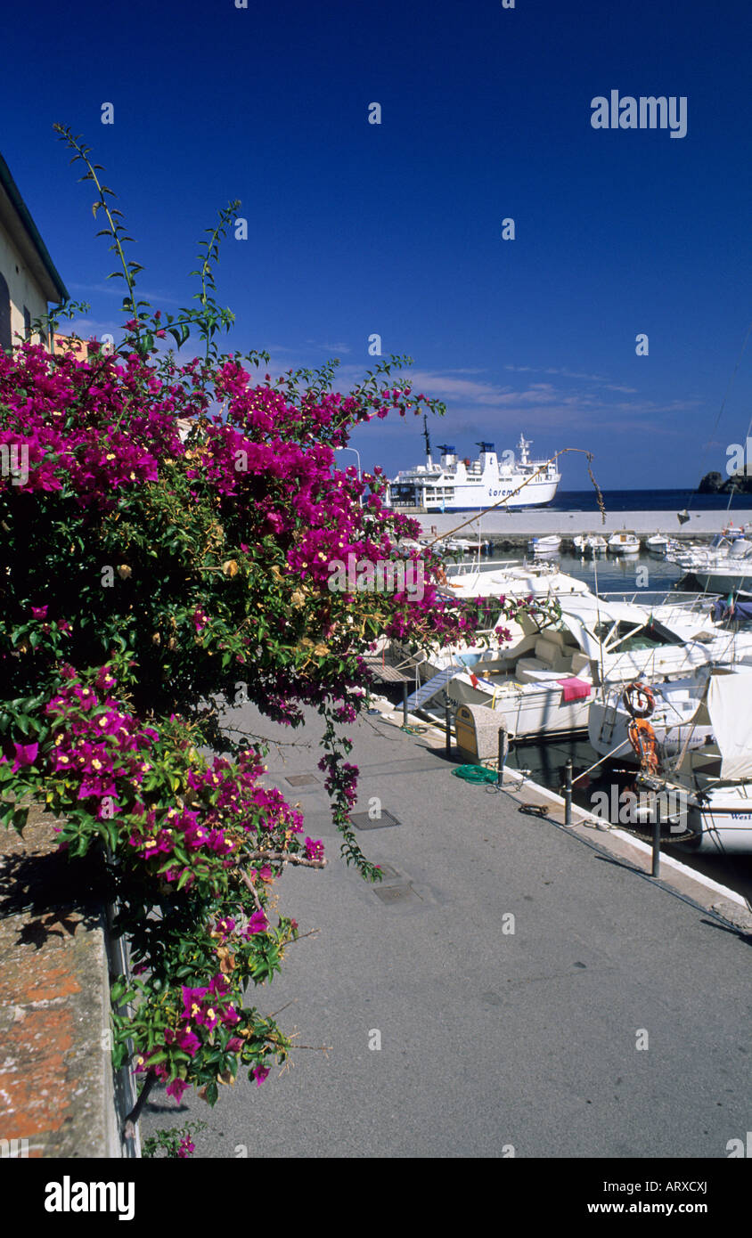 Harbour of Capraia Island, Tuscany, Italy Stock Photo - Alamy