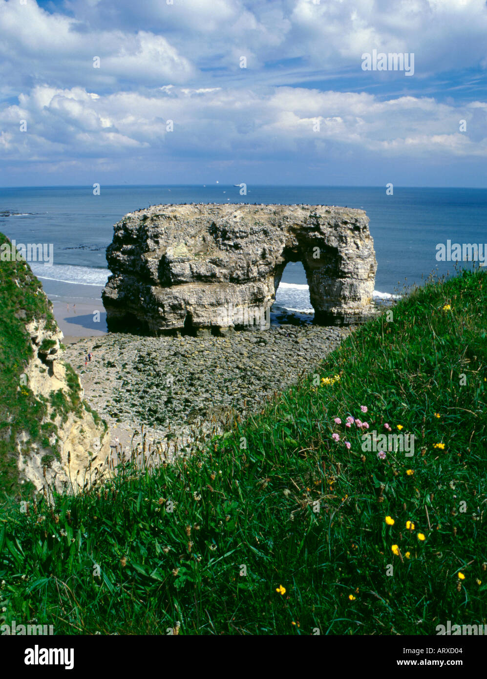 Natural rock arch through a sea stack, prior to its collapse; Marsden ...