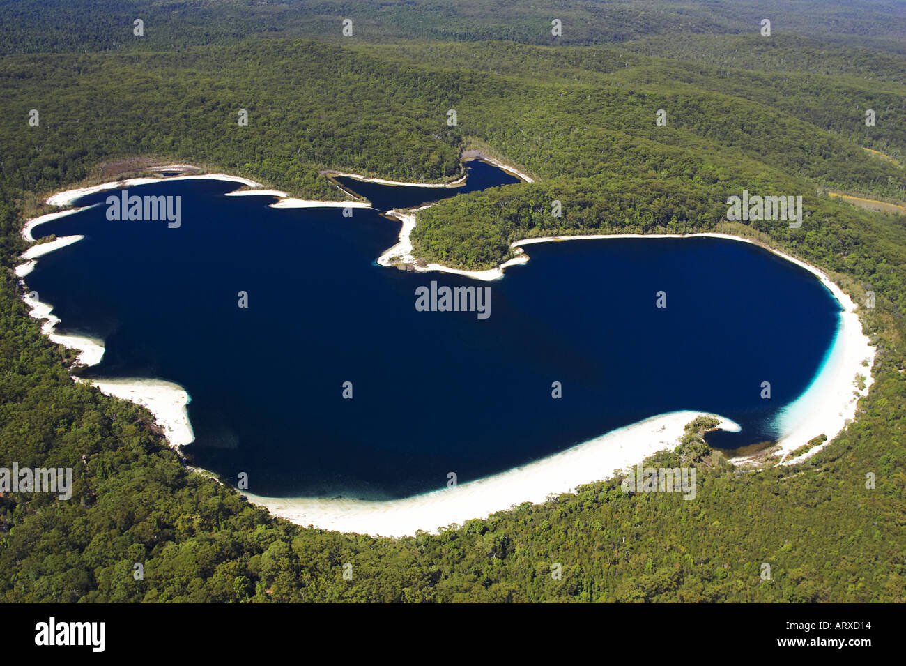 Lake McKenzie K'gari / Fraser Island Queensland Australia aerial Stock ...