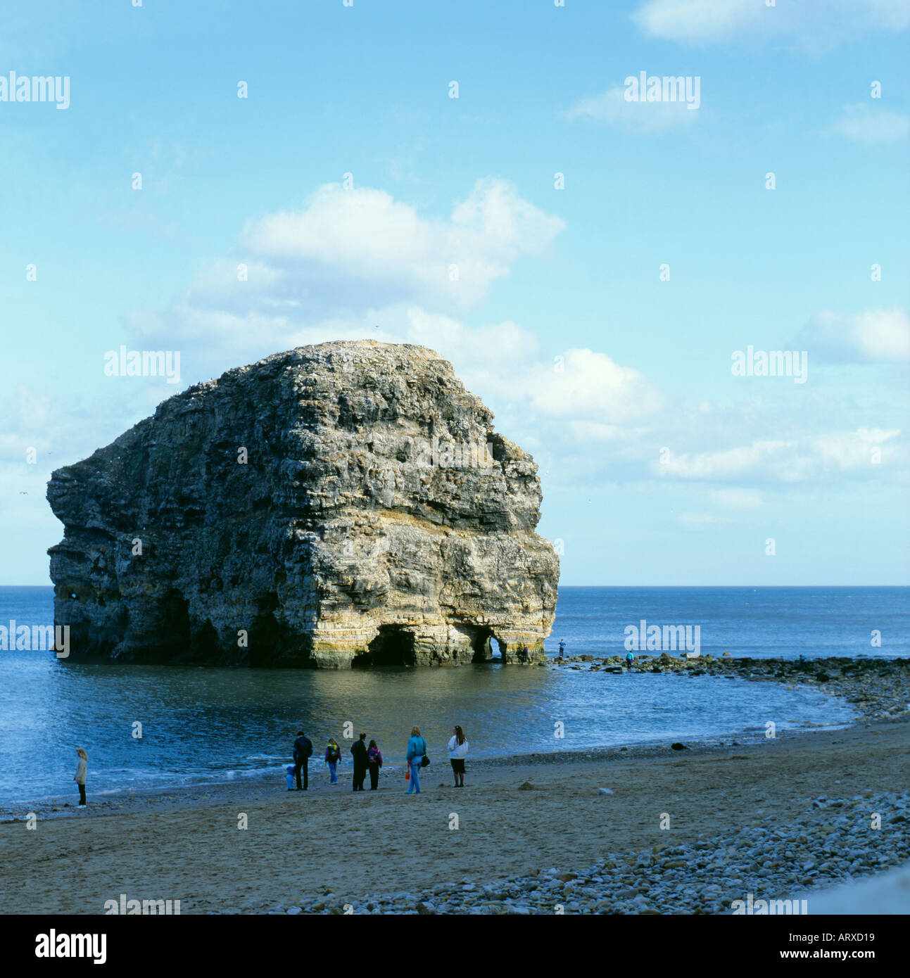 Tyne wear coast geology hi-res stock photography and images - Alamy