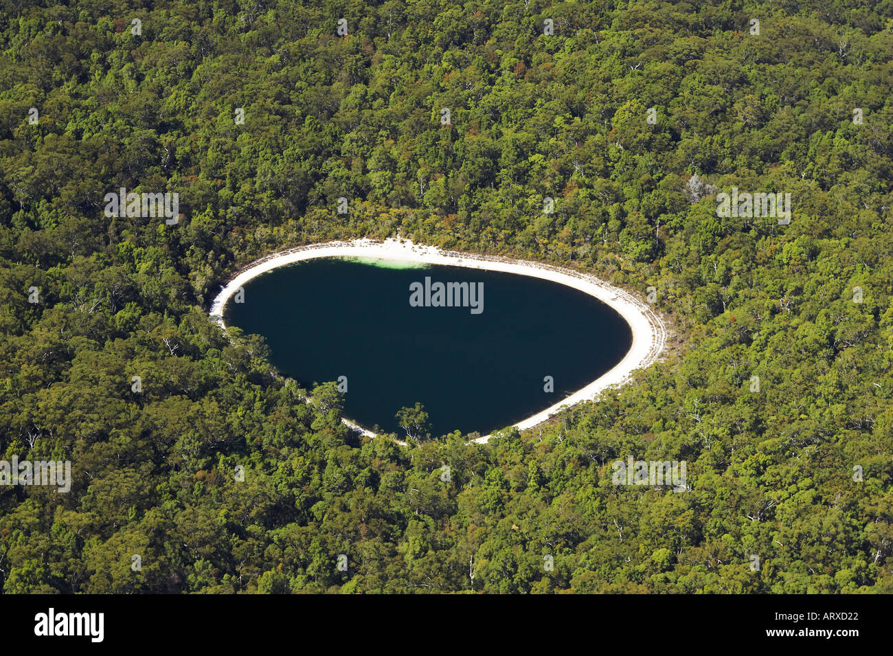 Basin Lake K'gari / Fraser Island Queensland Australia aerial Stock ...