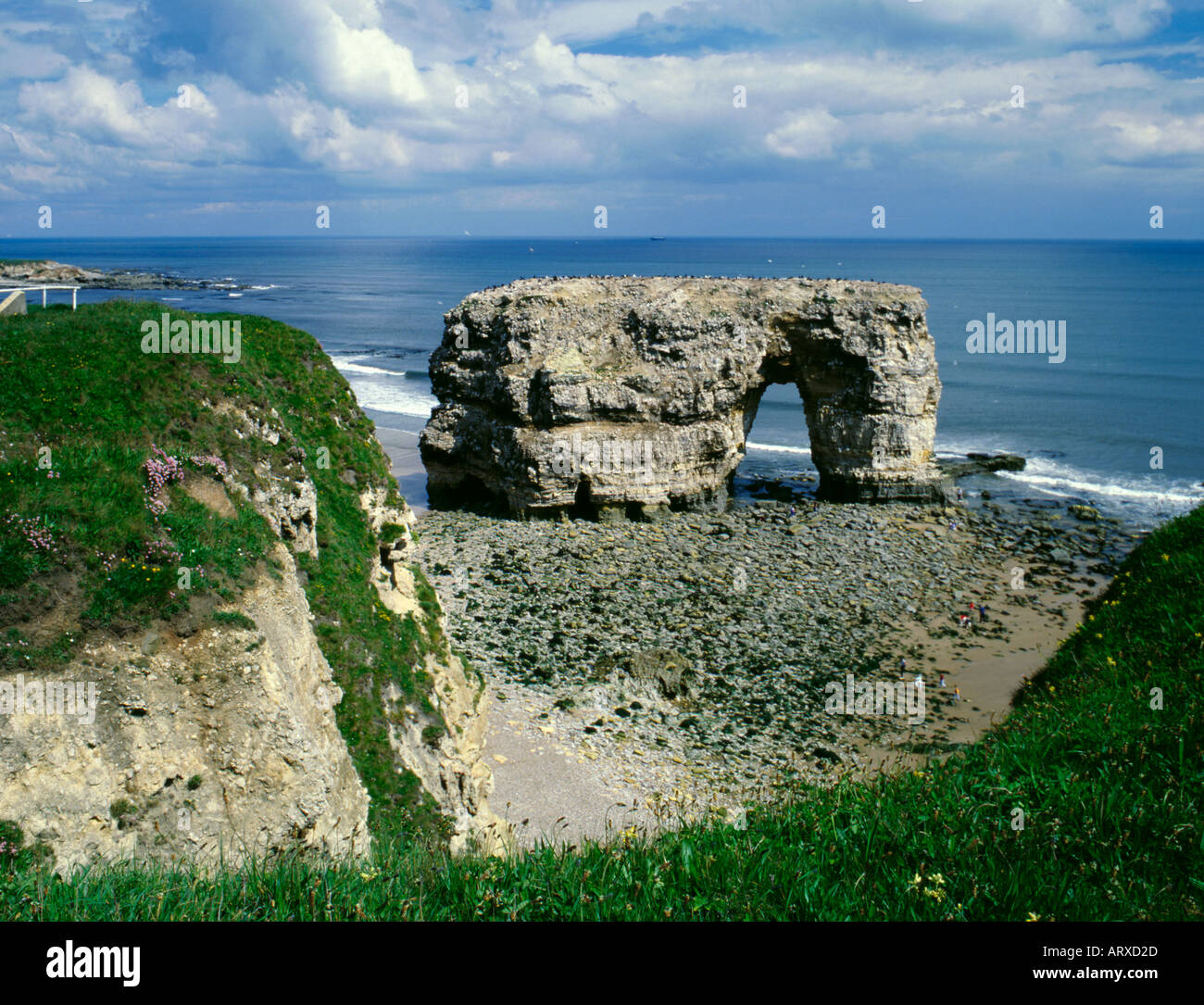 Natural rock arch through a sea stack prior to its collapse; Marsden ...