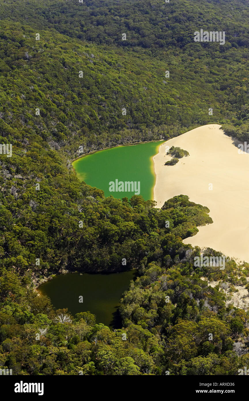 Lake Wabby K'gari / Fraser Island Queensland Australia aerial Stock Photo - Alamy