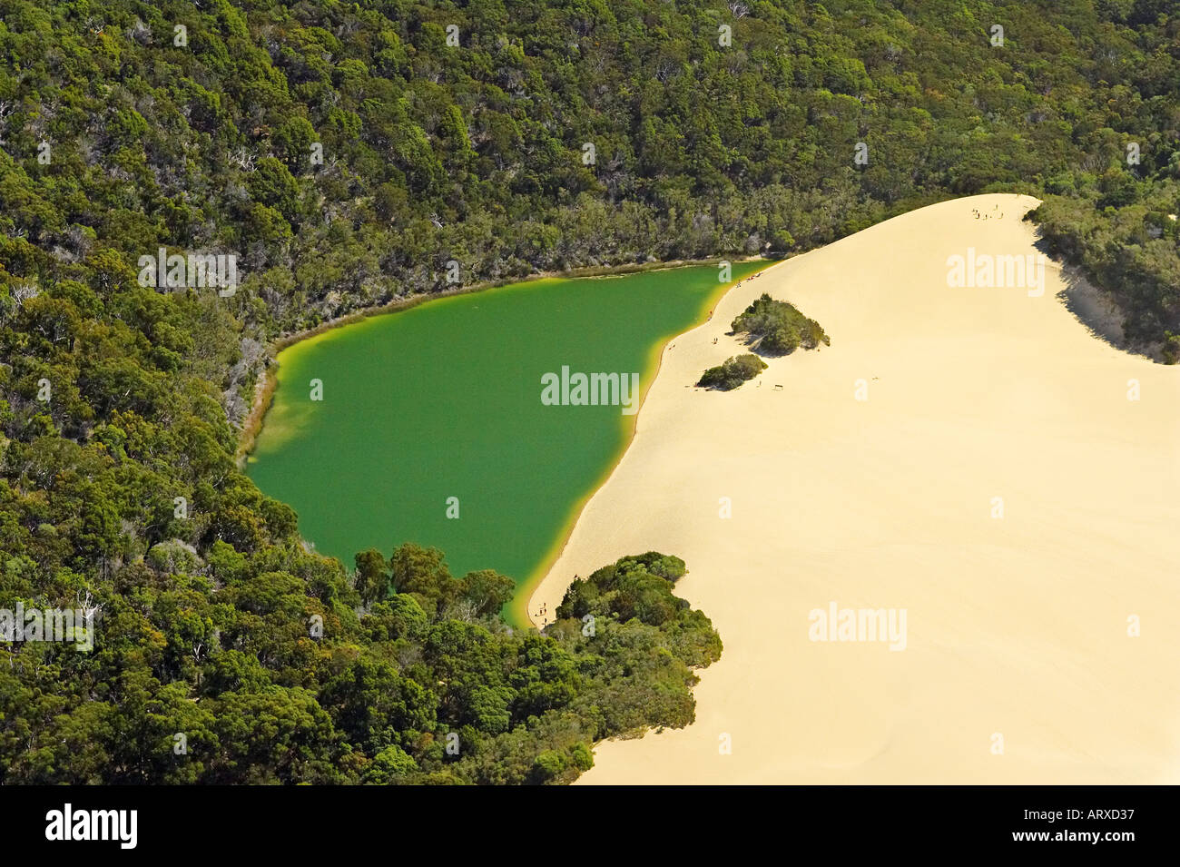 Lake Wabby Fraser Island Queensland Australia aerial Stock Photo ...