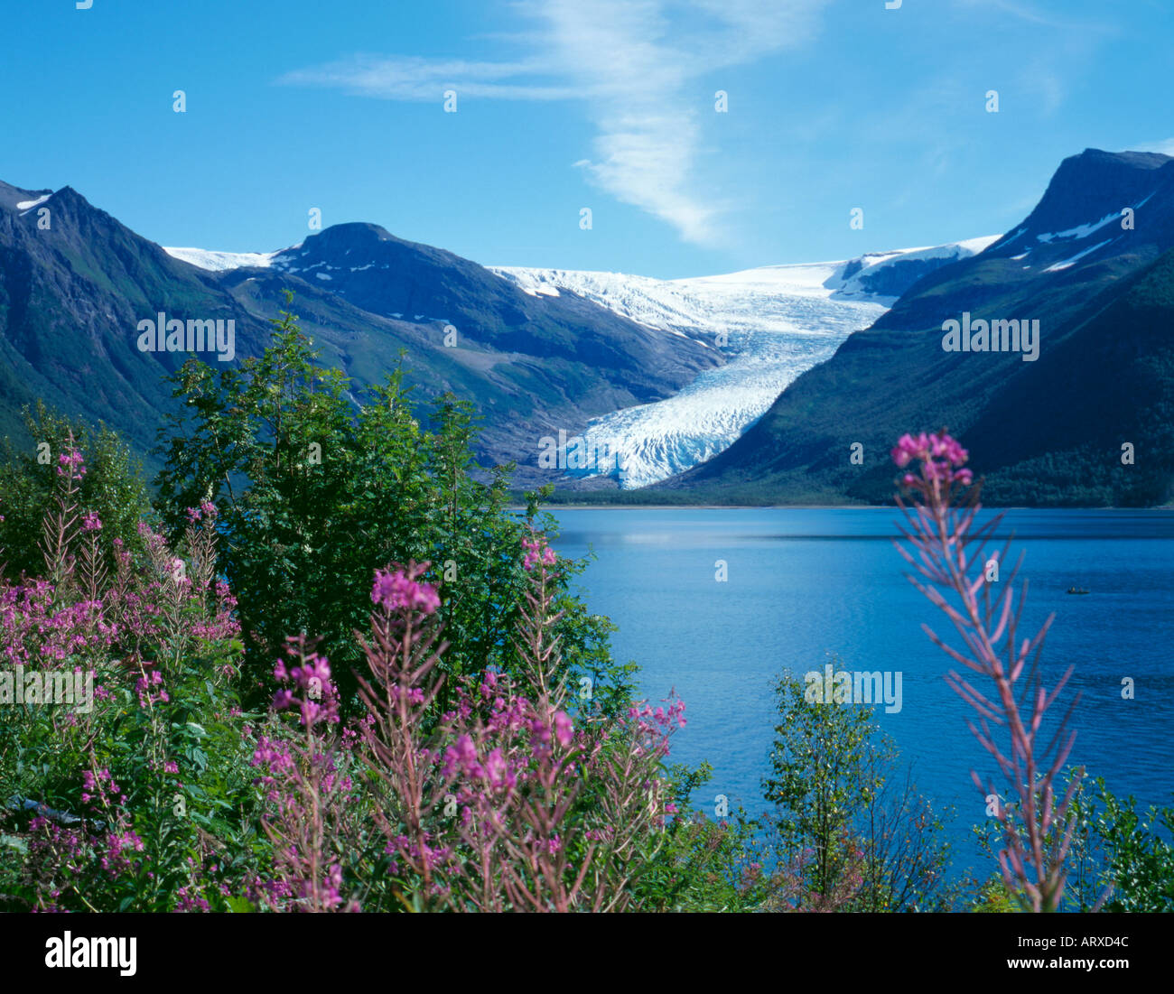 Engabreen glacier descending from the Vestre Svartisen snowfield seen ...