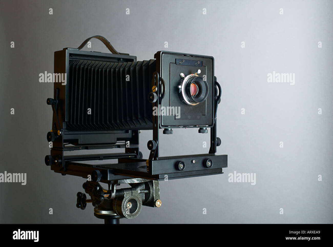 wooden view camera on a tripod Stock Photo - Alamy