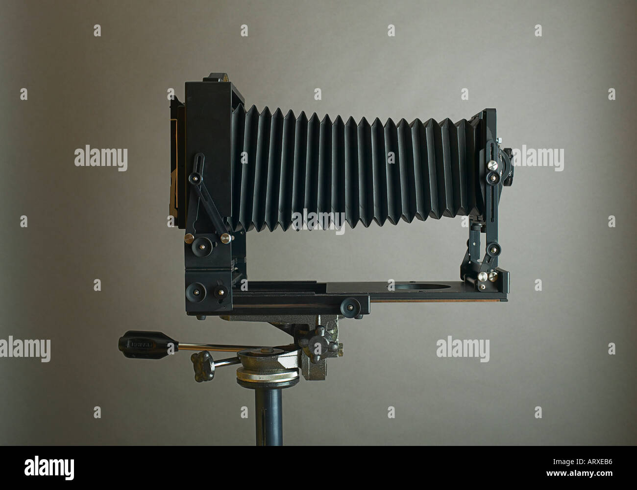 wooden view camera on a tripod Stock Photo - Alamy
