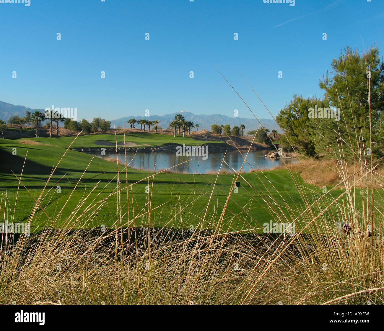 Shadow Ridge Golf course 17th hole Stock Photo - Alamy