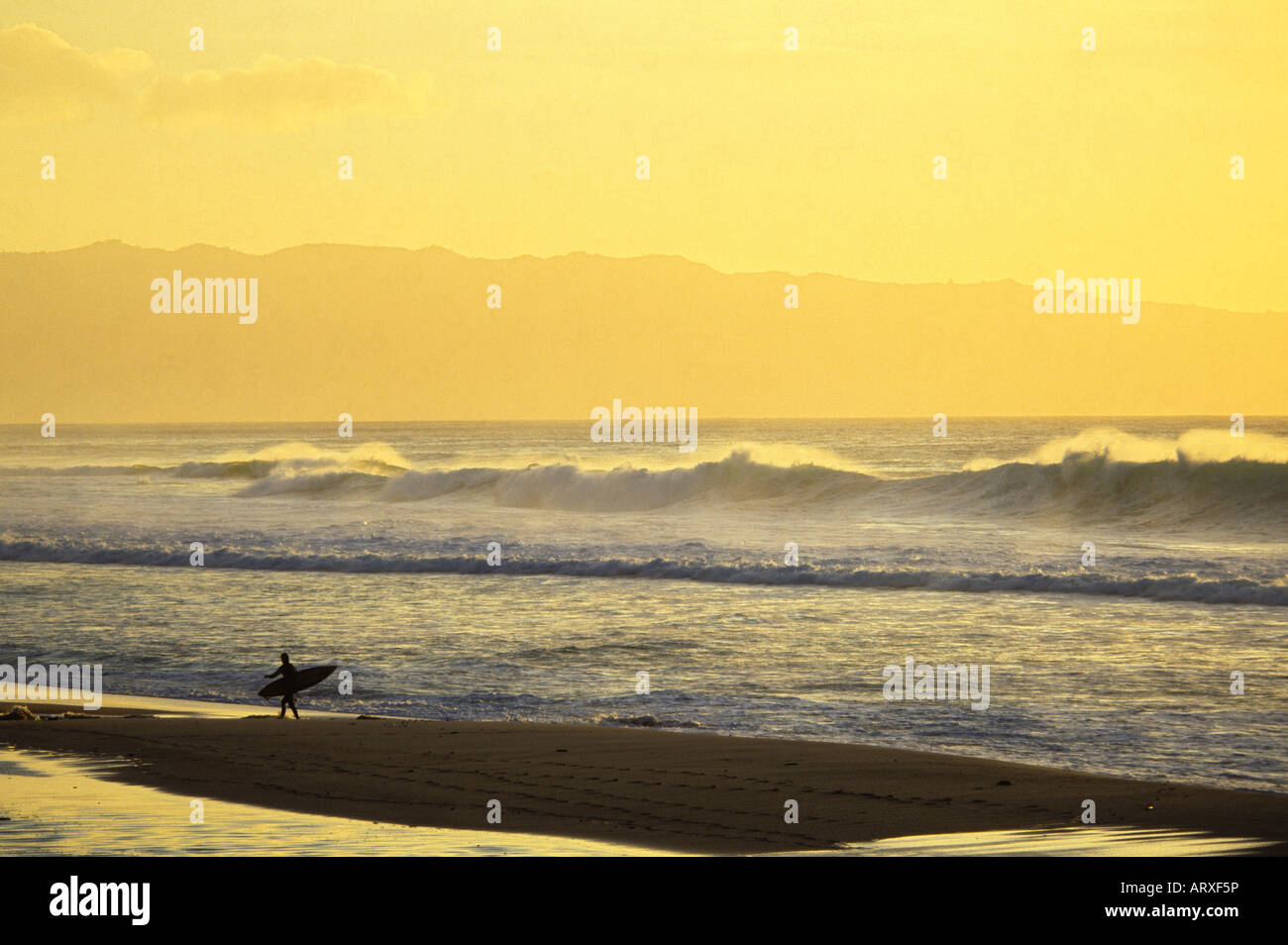 Surfer at sunset walking along Ehukai Beach with his surfboard fronting ...