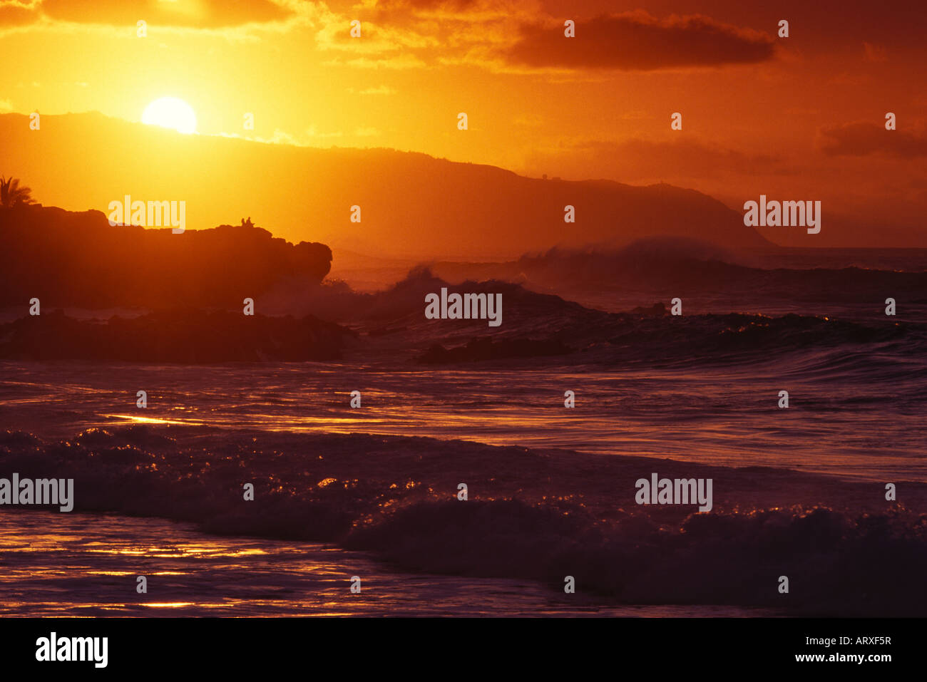 Oahu waimea bay surfers hi-res stock photography and images - Alamy