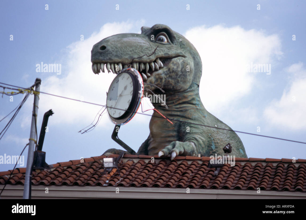 ripley s believe it or not t-rex Stock Photo - Alamy