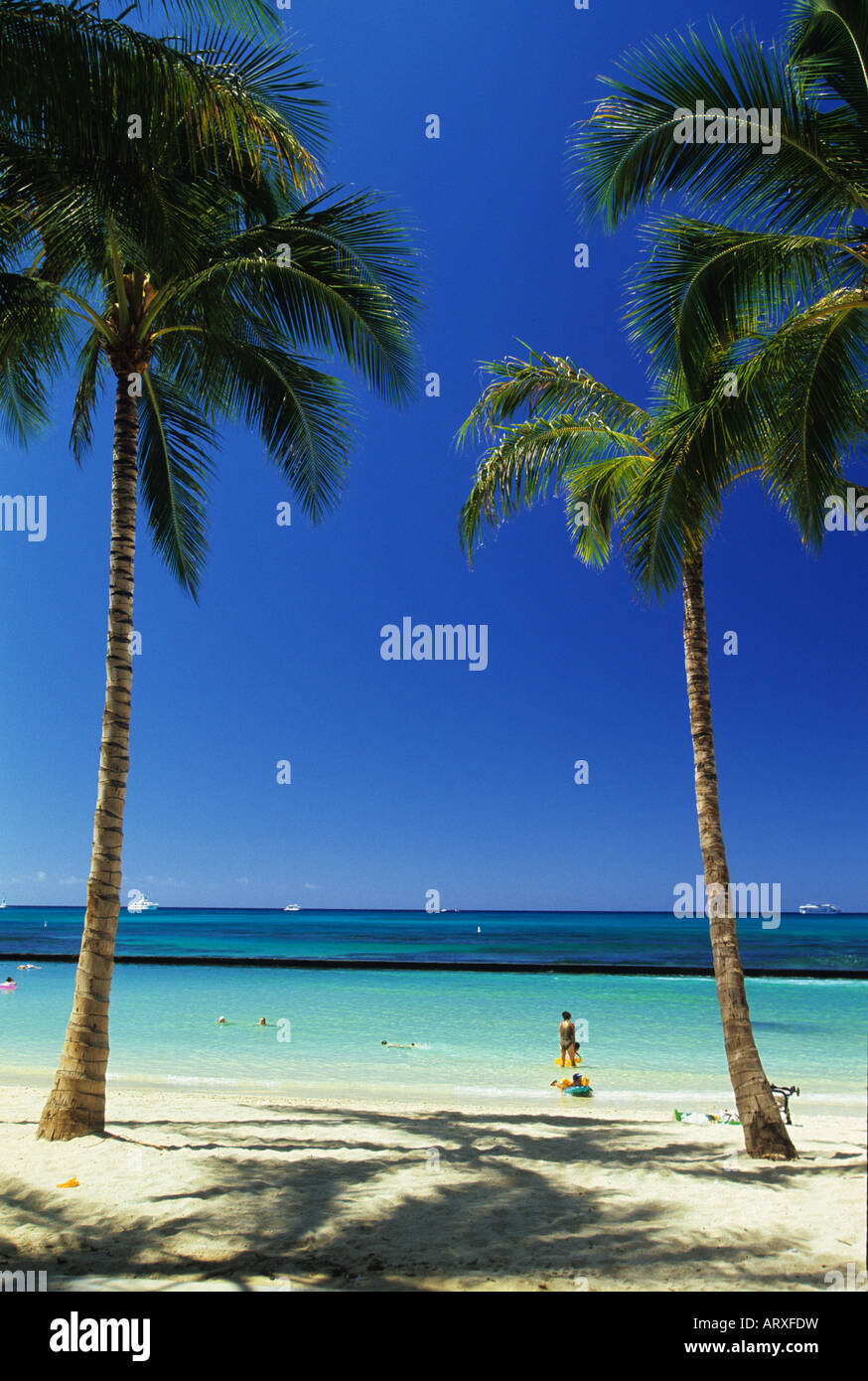 Palm trees and shadows in the early morning at Kuhio Beach, Waikiki ...