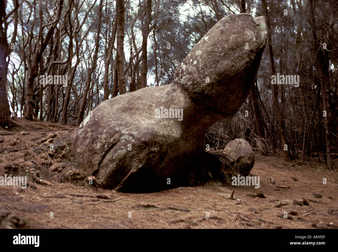 Kaule O Nanahoa or Phallic Rock used by ancient Hawaiians as fertility ...