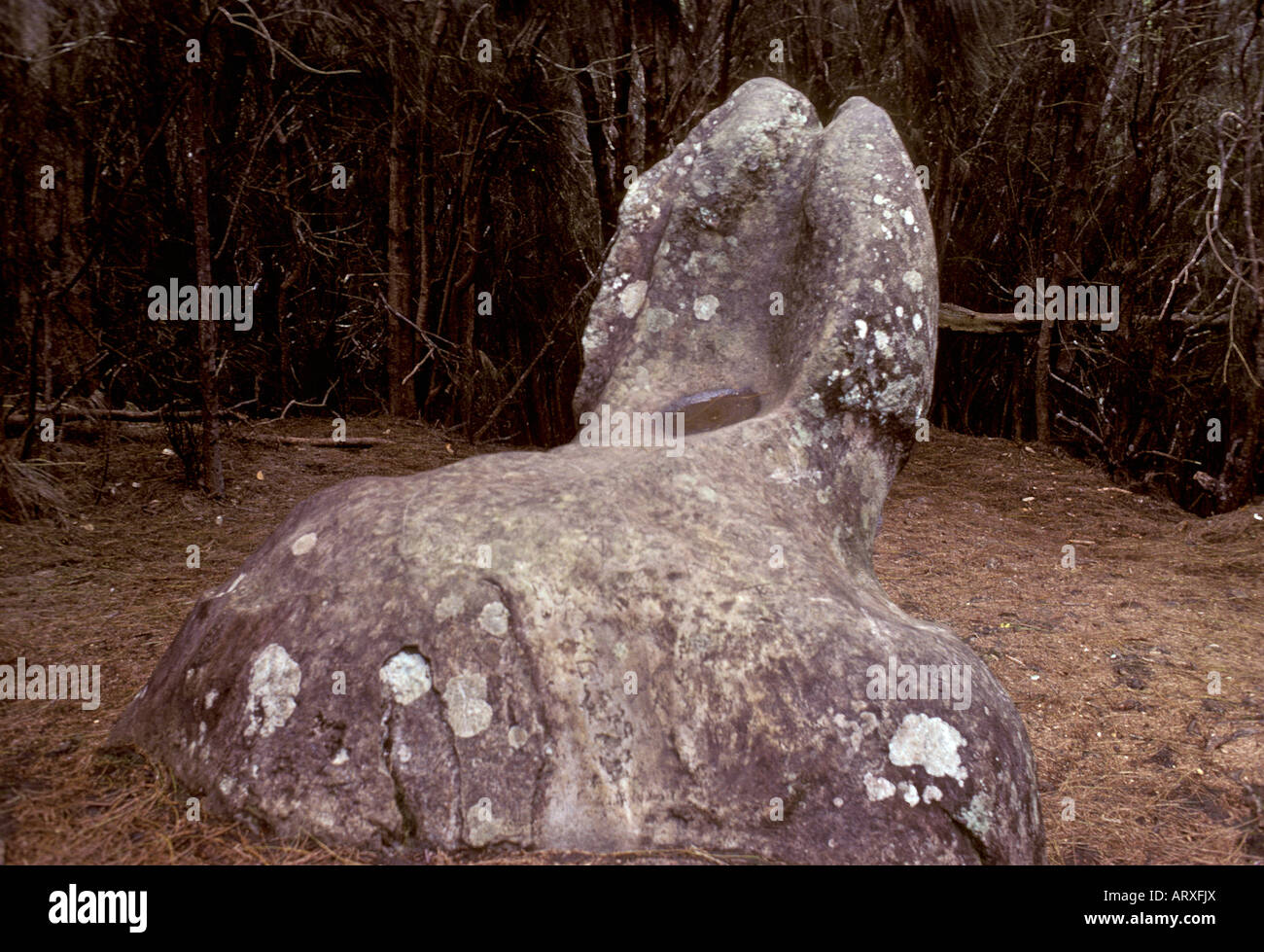 Kaule O Nanahoa or Phallic Rock used by ancient Hawaiians as fertility ...