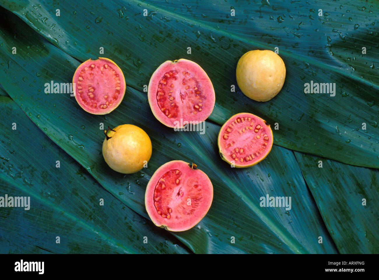 Kauai fruits hi-res stock photography and images - Alamy