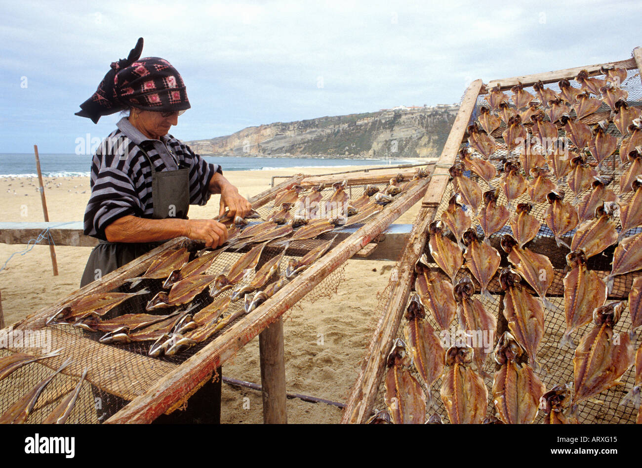 Sun-dried fish on the beach at Nazare, Portugal Stock Photo - Alamy