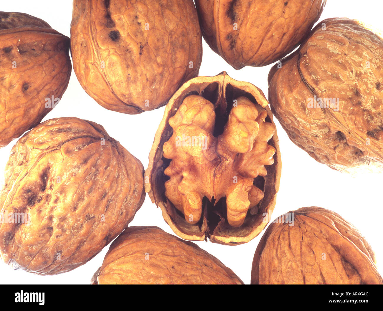 Chinese walnut tree hi-res stock photography and images - Alamy