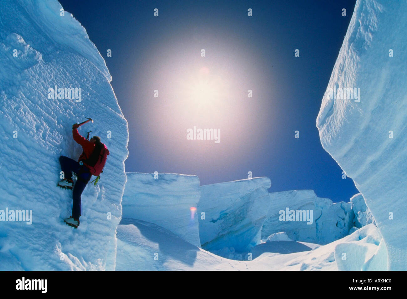Ice climbing on the Tasman Glacier in Mt Cook National Park on the ...
