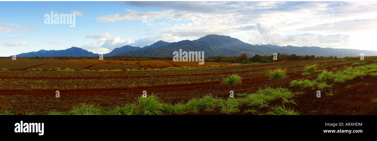 View of the pinapple fields in front of the Waianae mountain range ...
