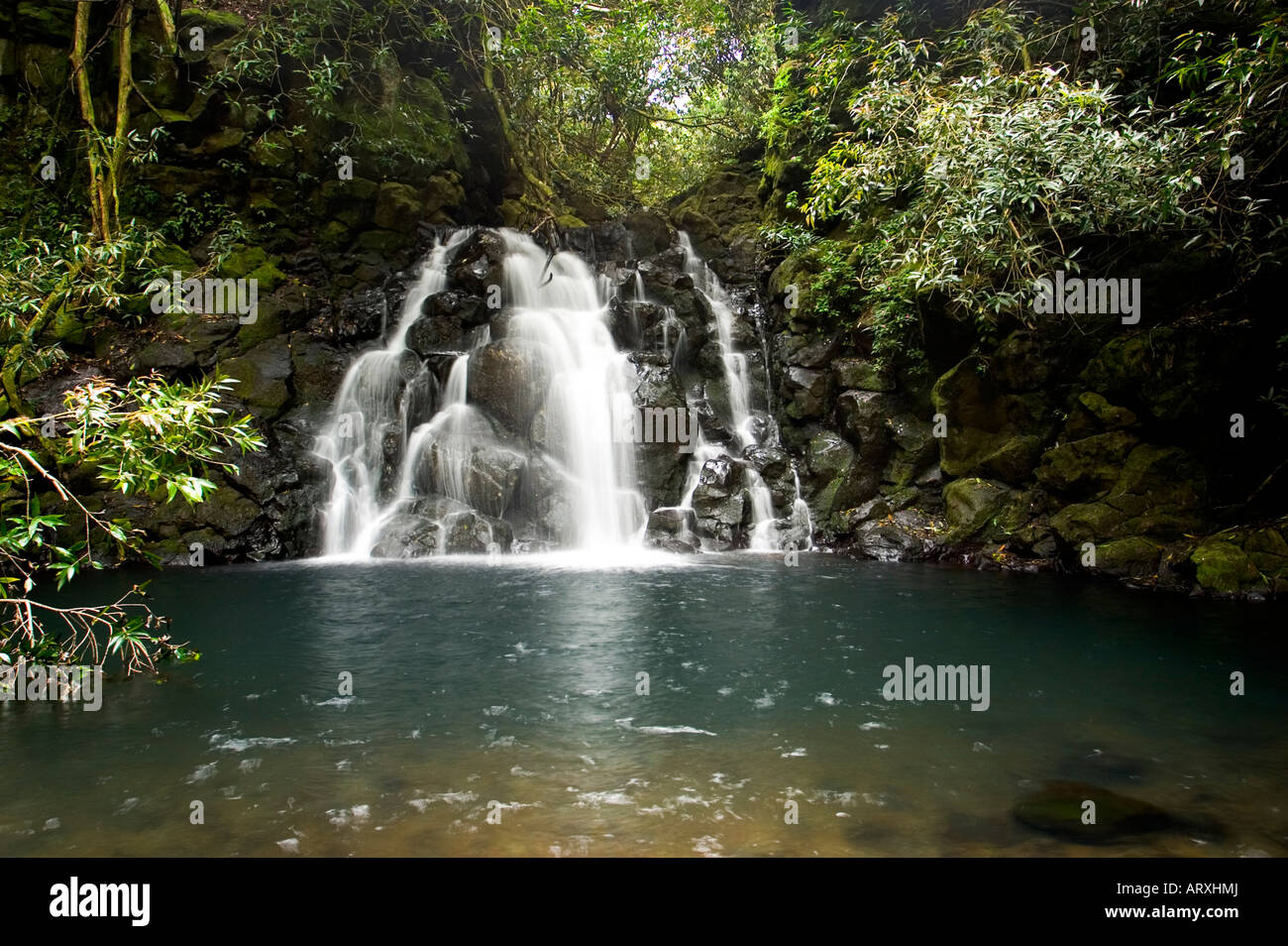 Lush waterfall and pool Stock Photo - Alamy