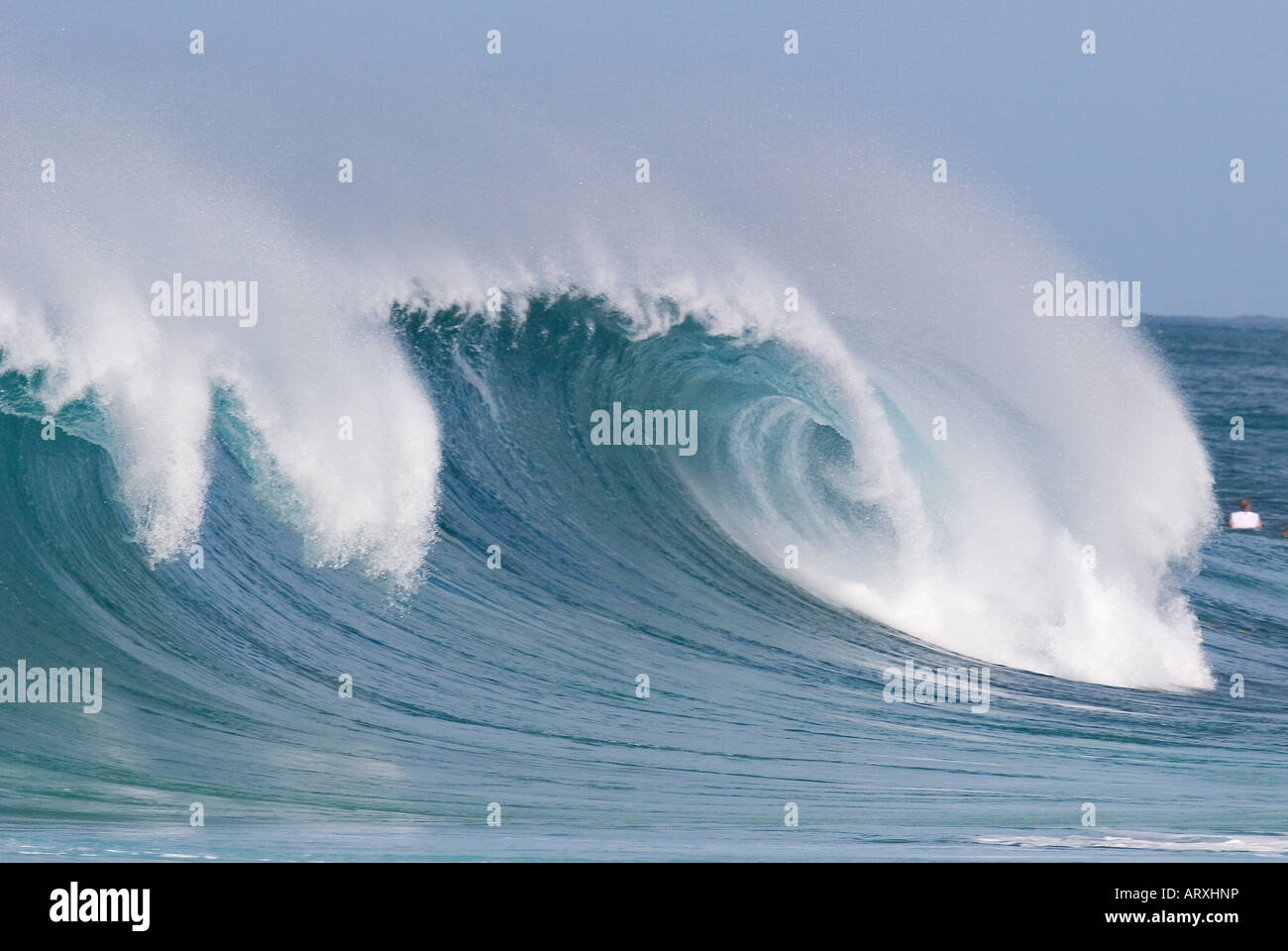 Wave breaking near rock piles surf break on the north shore of Oahu ...