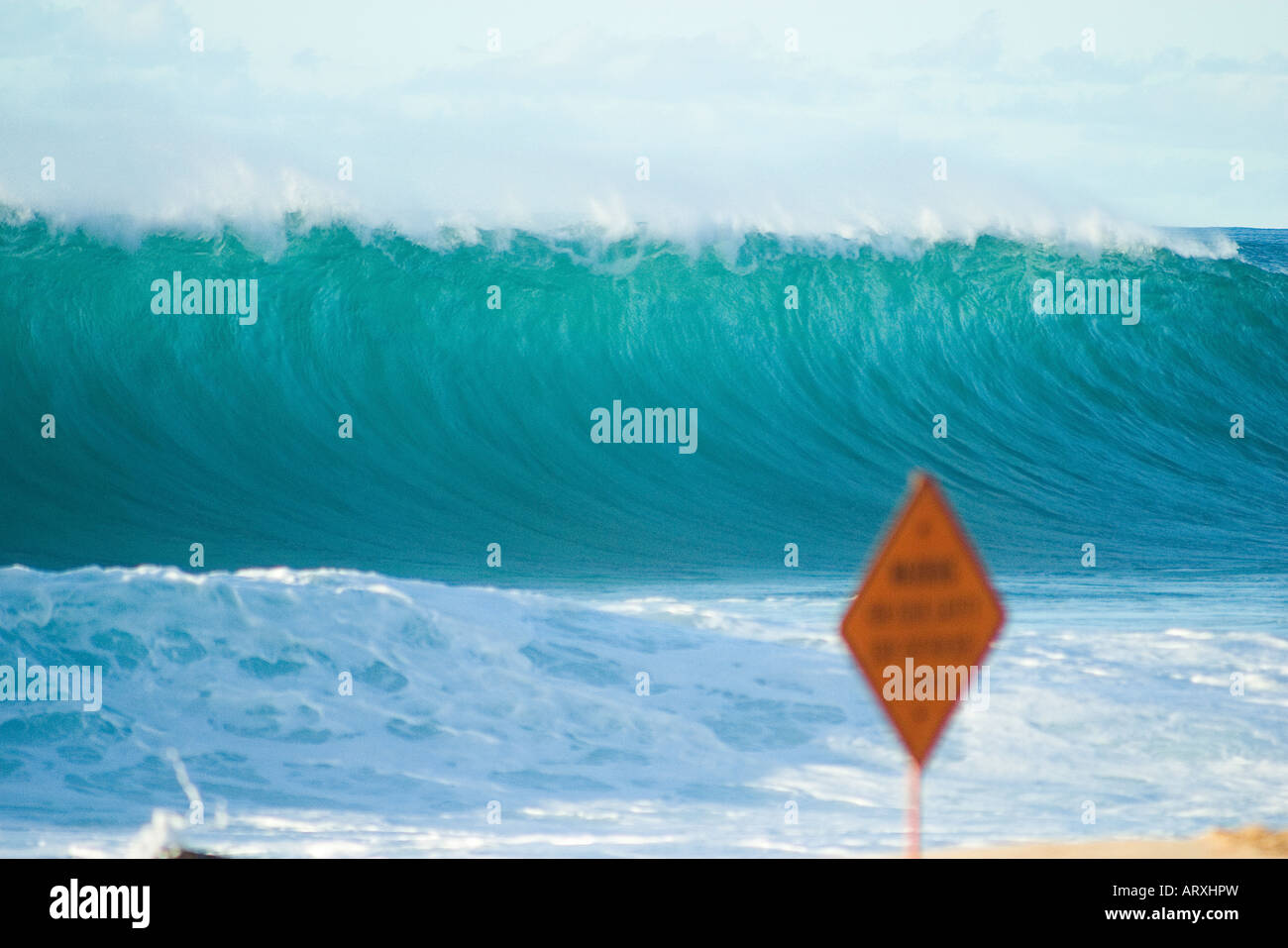 Large wave about to break at Rock Piles on the north shore of Oahu. Out ...