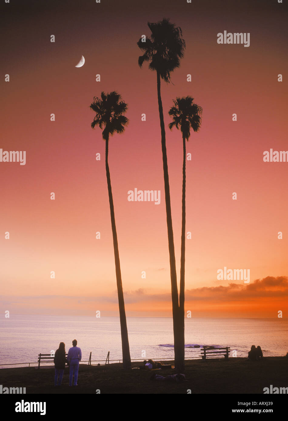 Tall grass and full moon hi-res stock photography and images - Alamy