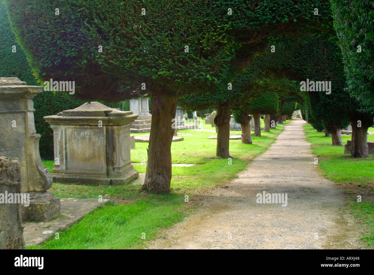 Churchyard and famous yew trees, Painswick, Gloucestershire, Cotswolds ...