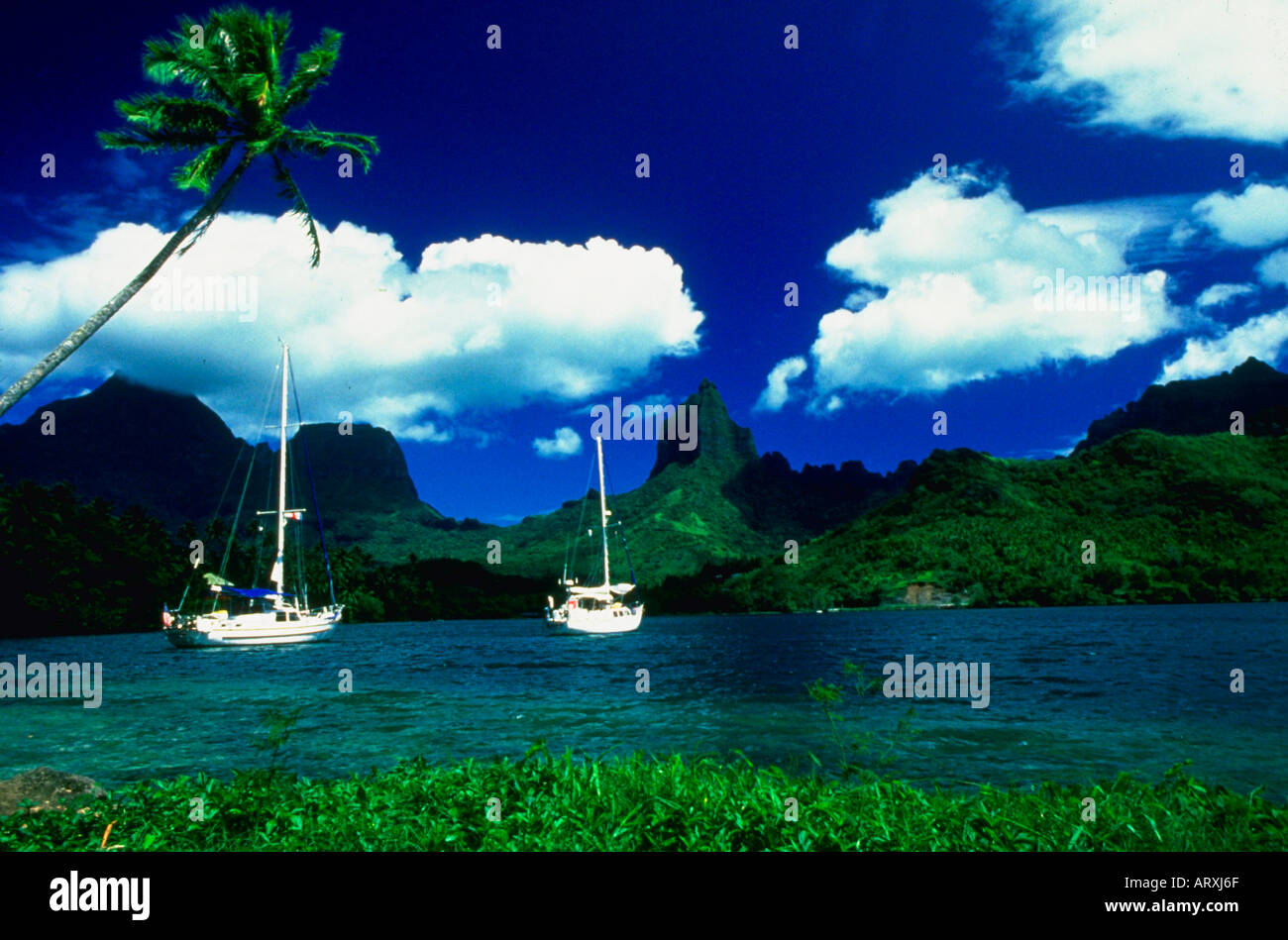 Cruising yachts in Opunohu Bay with Mt Moua Mao in the distance on the ...