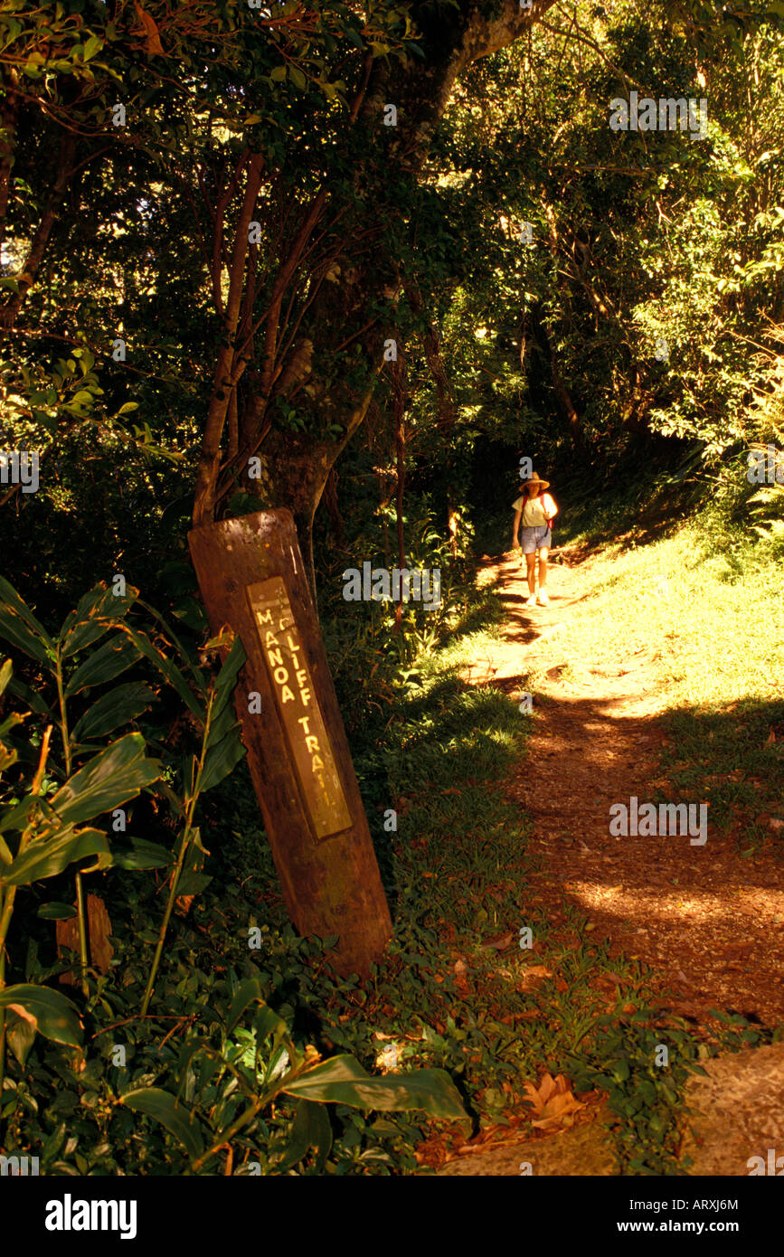 Hiker on Makiki trail, Tantalus, Oahu Stock Photo - Alamy