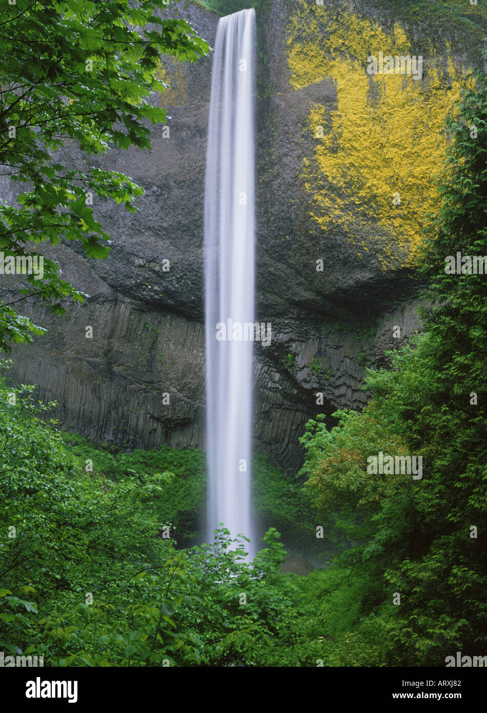 Latourell Falls in Guy Talbot State Park at Columbia River Gorge ...