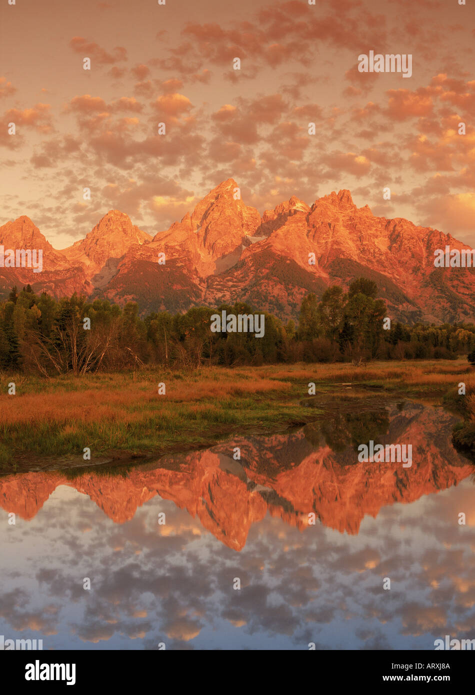 Mount Moran and Teton Range reflecting off ponds at Oxbow along Snake ...