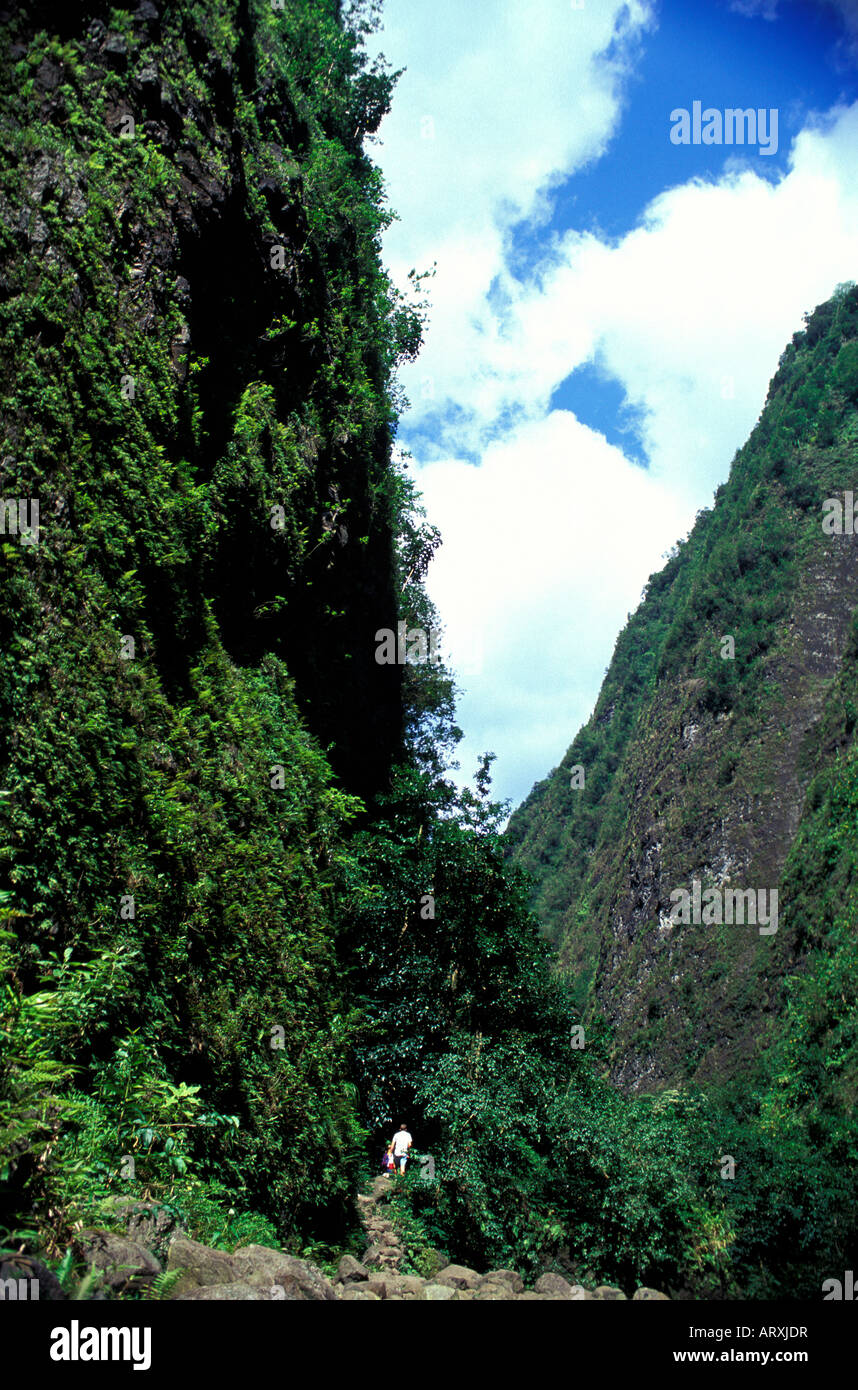 Hiking trail on the windward side of Oahu Stock Photo - Alamy