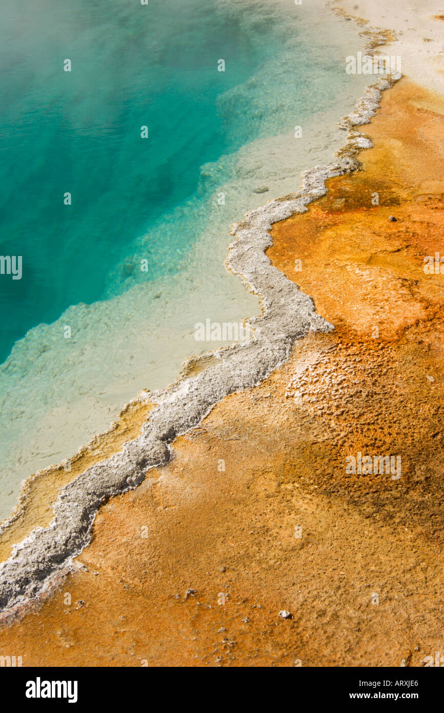 Crystal clear pool hot spring with orange cyanobacteria colonies along ...