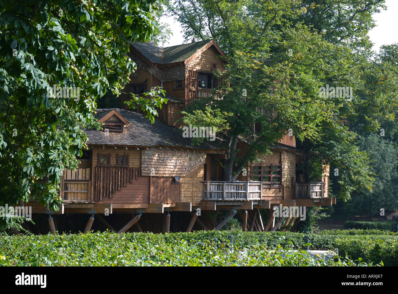 Alnwick Garden Northumberland the Tree House restaurant and feature ...