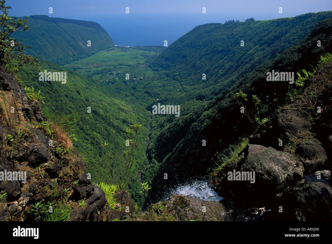 Waipio valley waterfall hi-res stock photography and images - Alamy