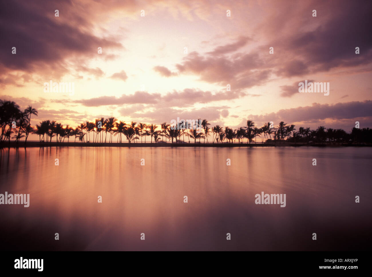 Hawaiian fishpond hi-res stock photography and images - Alamy