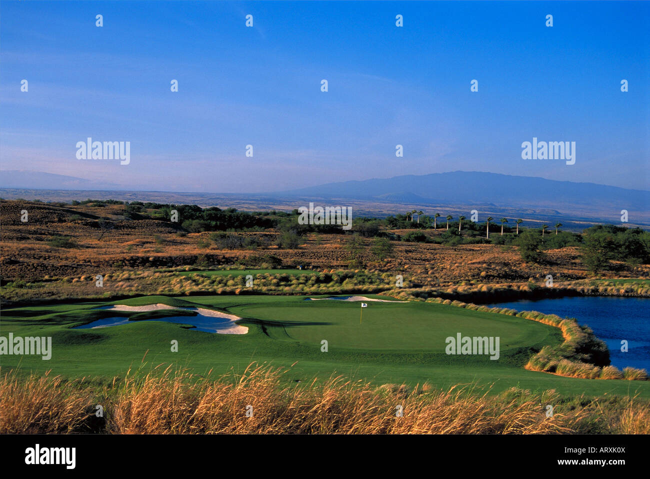 Hapuna Prince golf course hole #13, Big Island Stock Photo - Alamy
