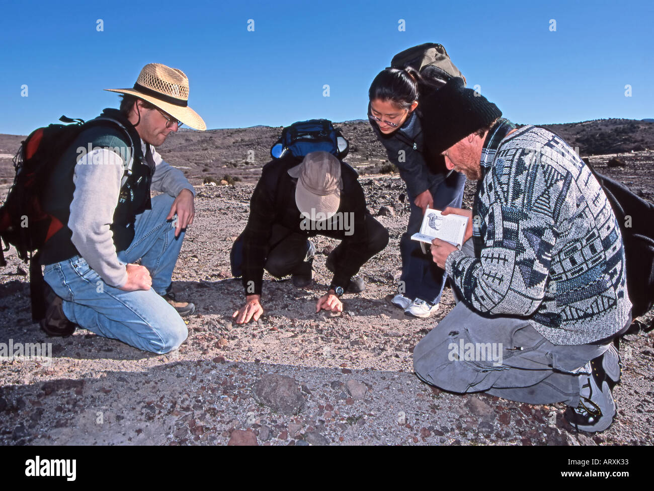 Animal Tracking Class in Arizona Stock Photo - Alamy