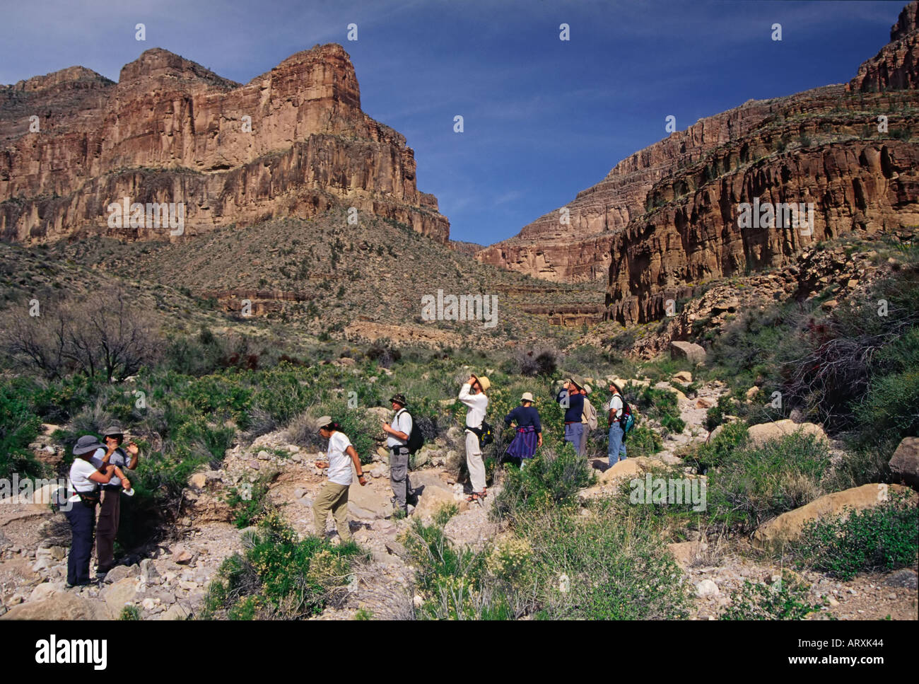 Grand pathways hi-res stock photography and images - Alamy