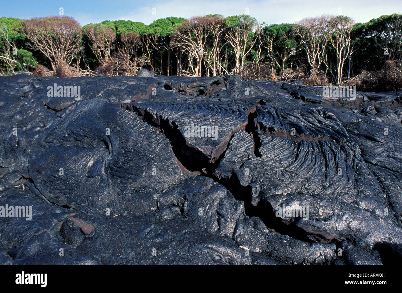 Lava fields hawaii hi-res stock photography and images - Alamy