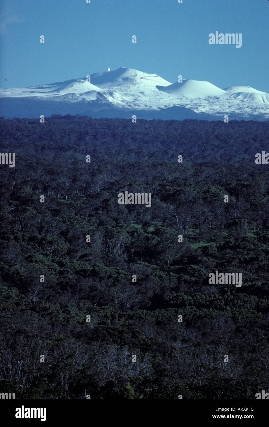 Snow capped Mauna Kea volcano and forest. Volcano National Park. Big ...
