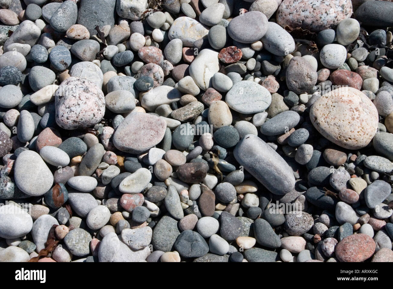 Iona Scotland Western Isles pebbles on the beach Stock Photo - Alamy