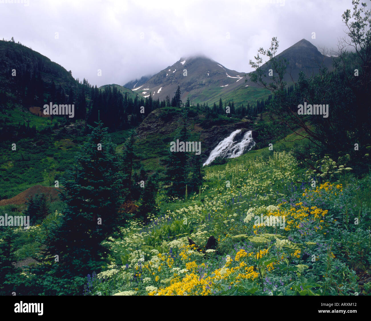 Lower Twin Falls at Yankee Boy Basin in the San Juan Mountains Colorado ...
