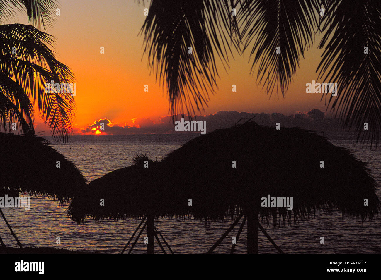 Cuba Walking Tours High Resolution Stock Photography and Images - Alamy