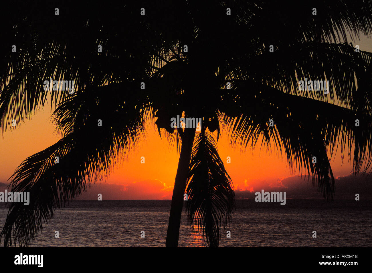 Cuba Walking Tours High Resolution Stock Photography and Images - Alamy