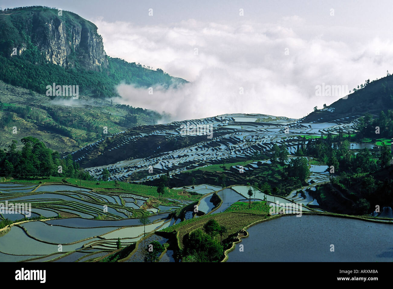 Hani rice terraces of Yuanyang in Yunnan province China 2004 Stock ...